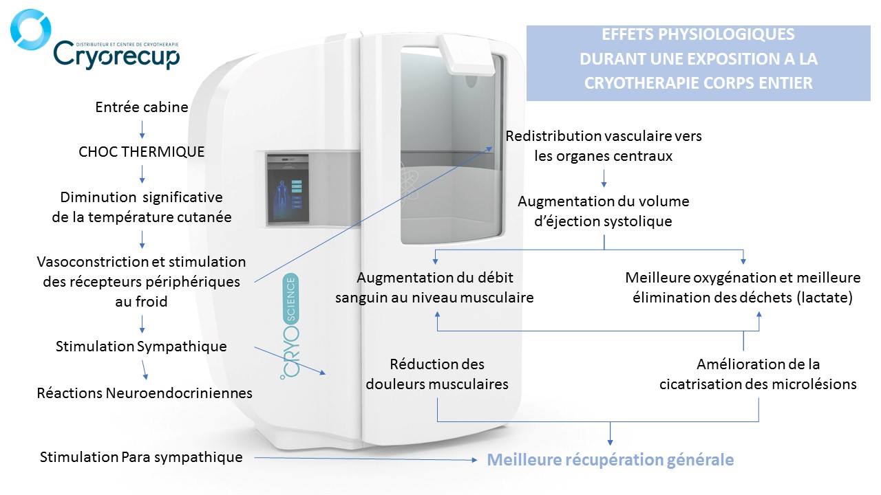 Venez découvrir avec nous les bienfaits de la Cryothérapie ! - Trail ...